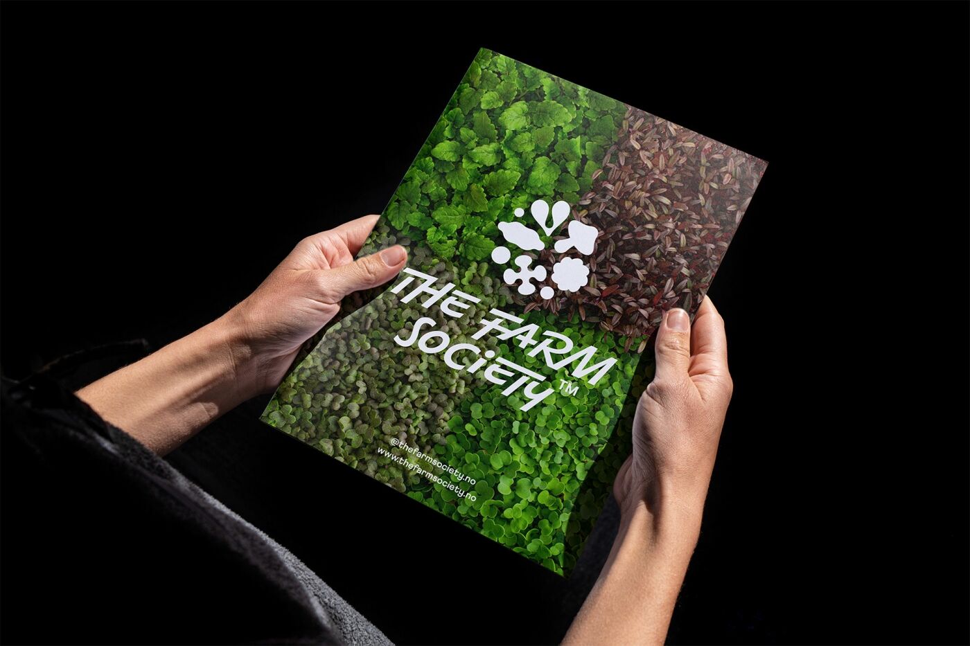 Illustration : The Farm Society par Maria Milenko