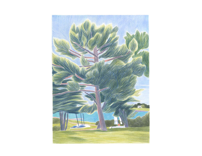 Art Buying and Illustration: Les catamarans by Caroline Péron